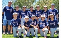 Newport Harbor Baseball Association > Home